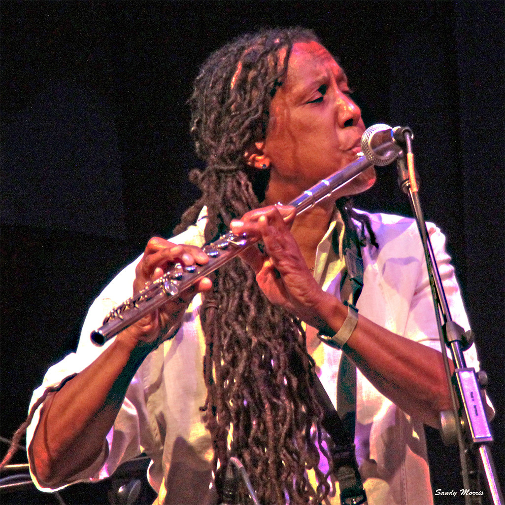 Because of a Song - A Feminist and Lesbian Music Archive